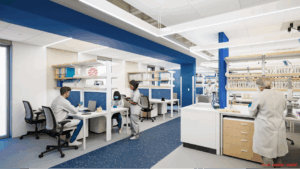 Basic Science Second Floor Renovation Project | Planning & Facilities ...