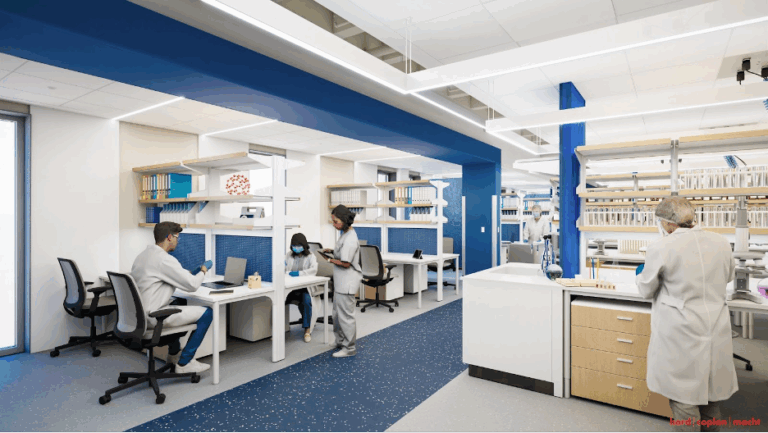 Basic Science Second Floor Renovation Project | Planning & Facilities ...